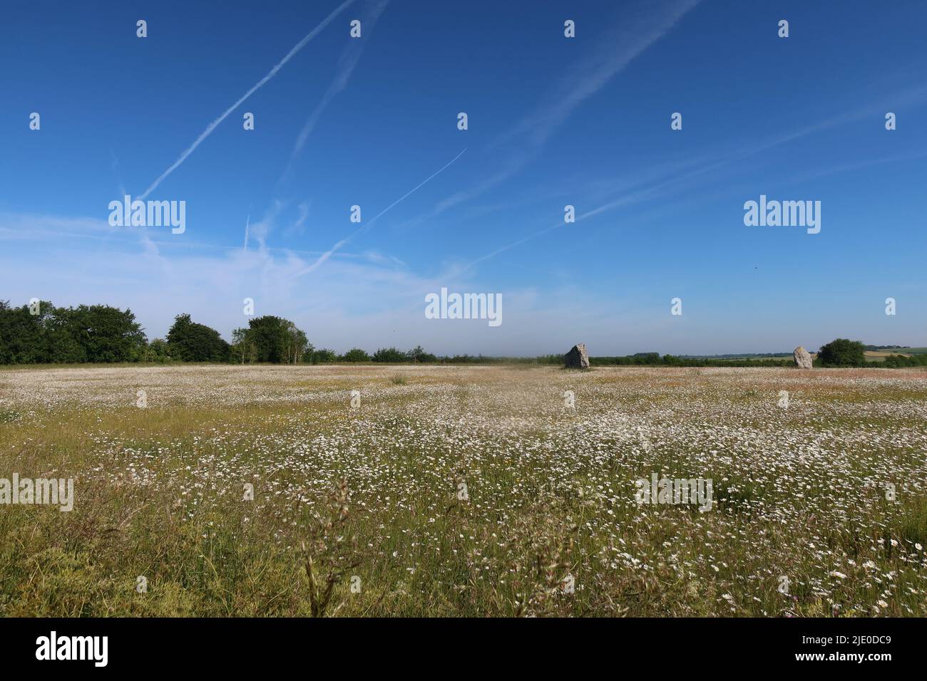 The Longstones. Adam and Eve stones. Beckhampton Avenue. Avebury ...