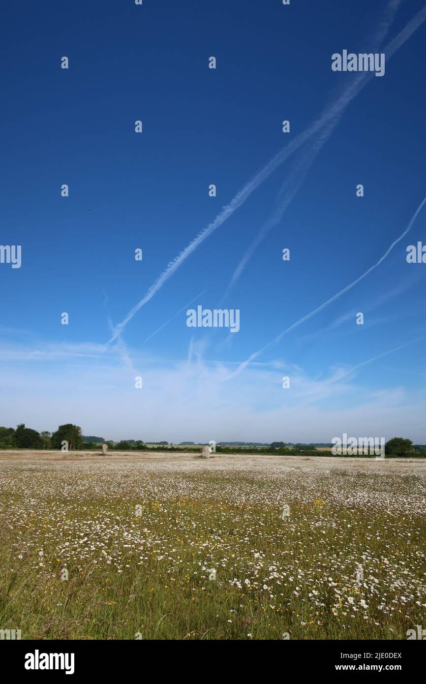 The Longstones. Adam and Eve stones. Beckhampton Avenue. Avebury ...