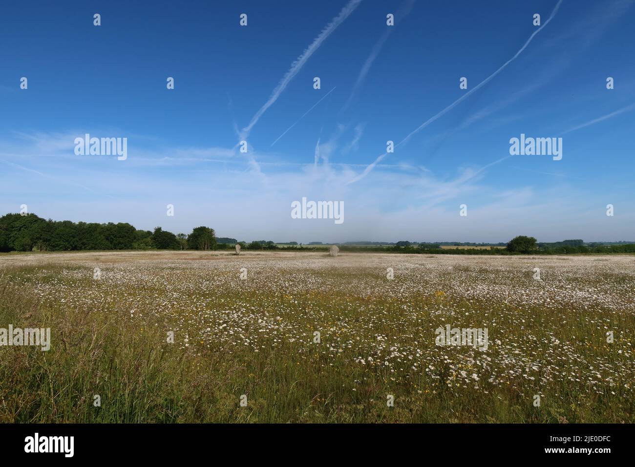 The Longstones. Adam and Eve stones. Beckhampton Avenue. Avebury ...