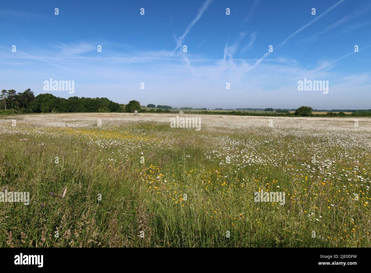 The Longstones. Adam and Eve stones. Beckhampton Avenue. Avebury ...