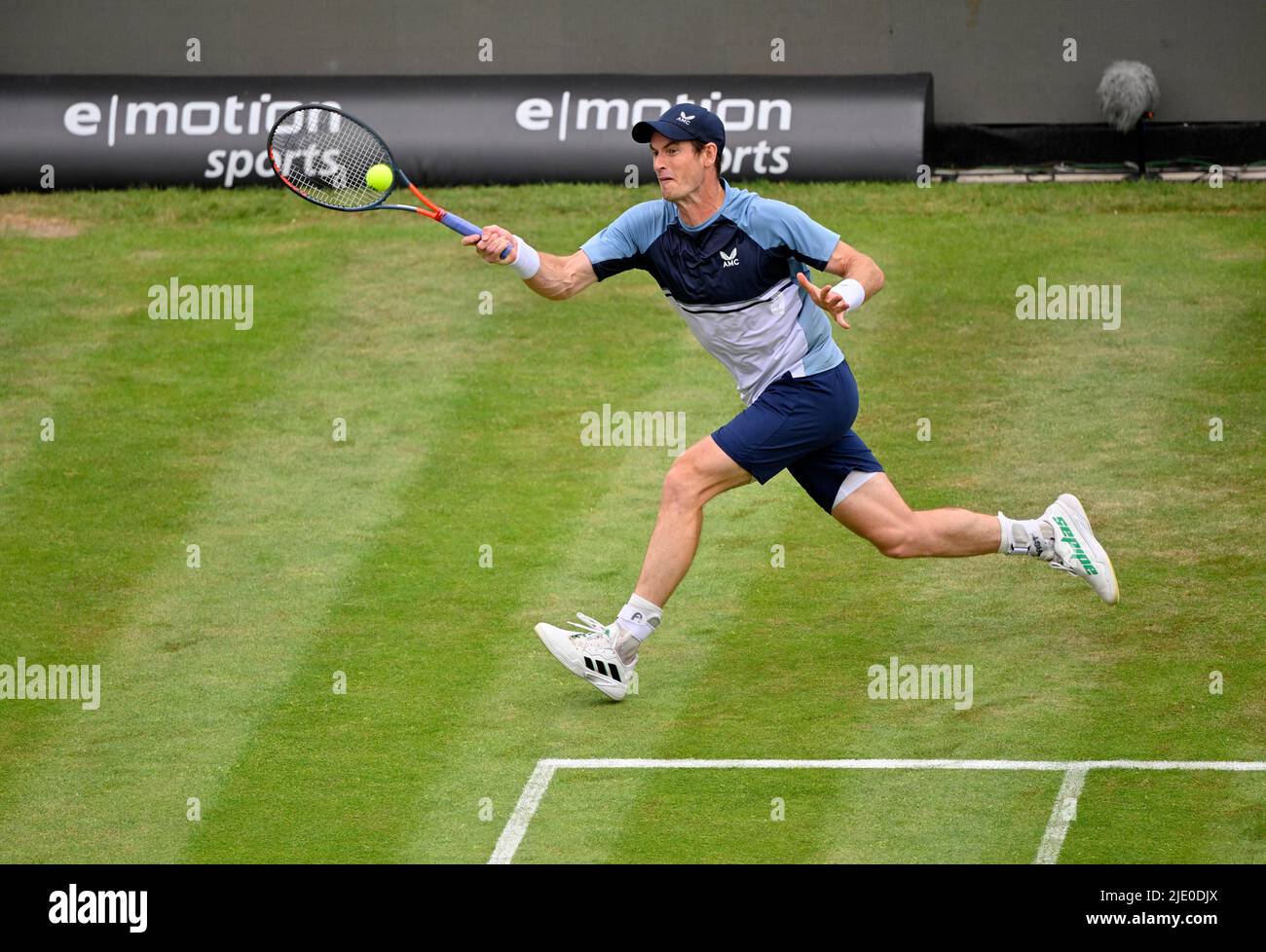 Tennis, Wimbledon winner Andy Murray (GBR), action on grass, BOSS Open ...