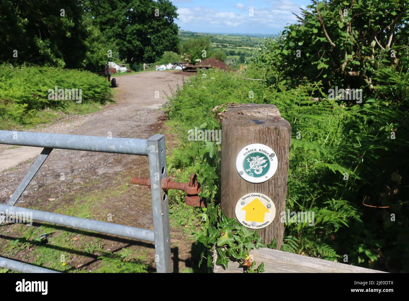 Penn farm campsite. Wessex ridgeway. Dorset. West Country. South West ...