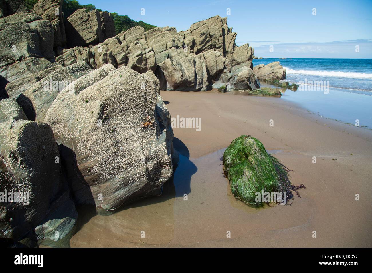 Lee Bay, on the North Devon coast near Woolacombe, in the Exmoor ...