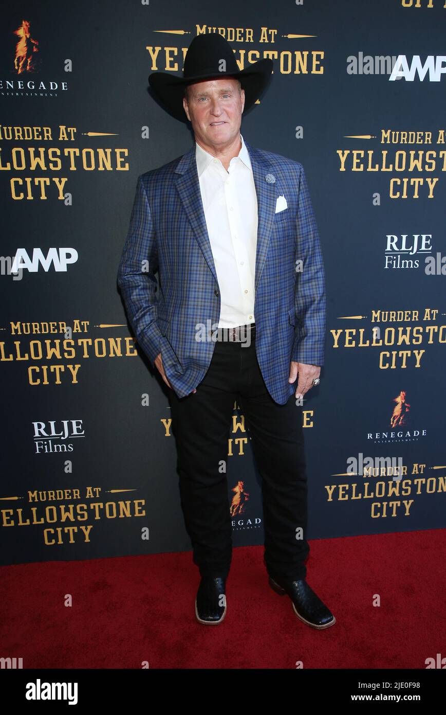 Los Angeles, Ca. 23rd June, 2022. John Lott at the premiere of Murder ...