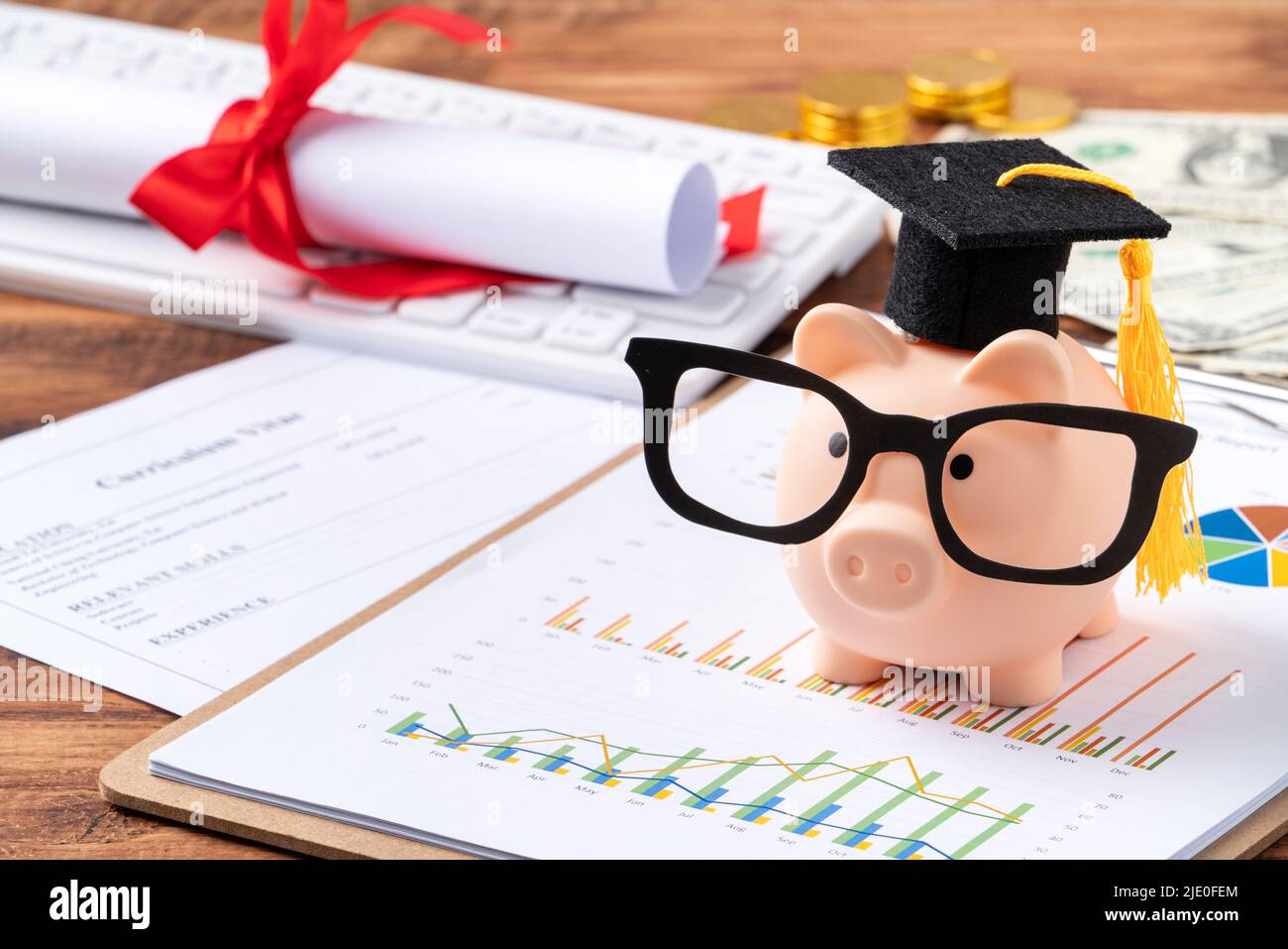 Design concept of new fresh graduate trying to find a job and earning ...