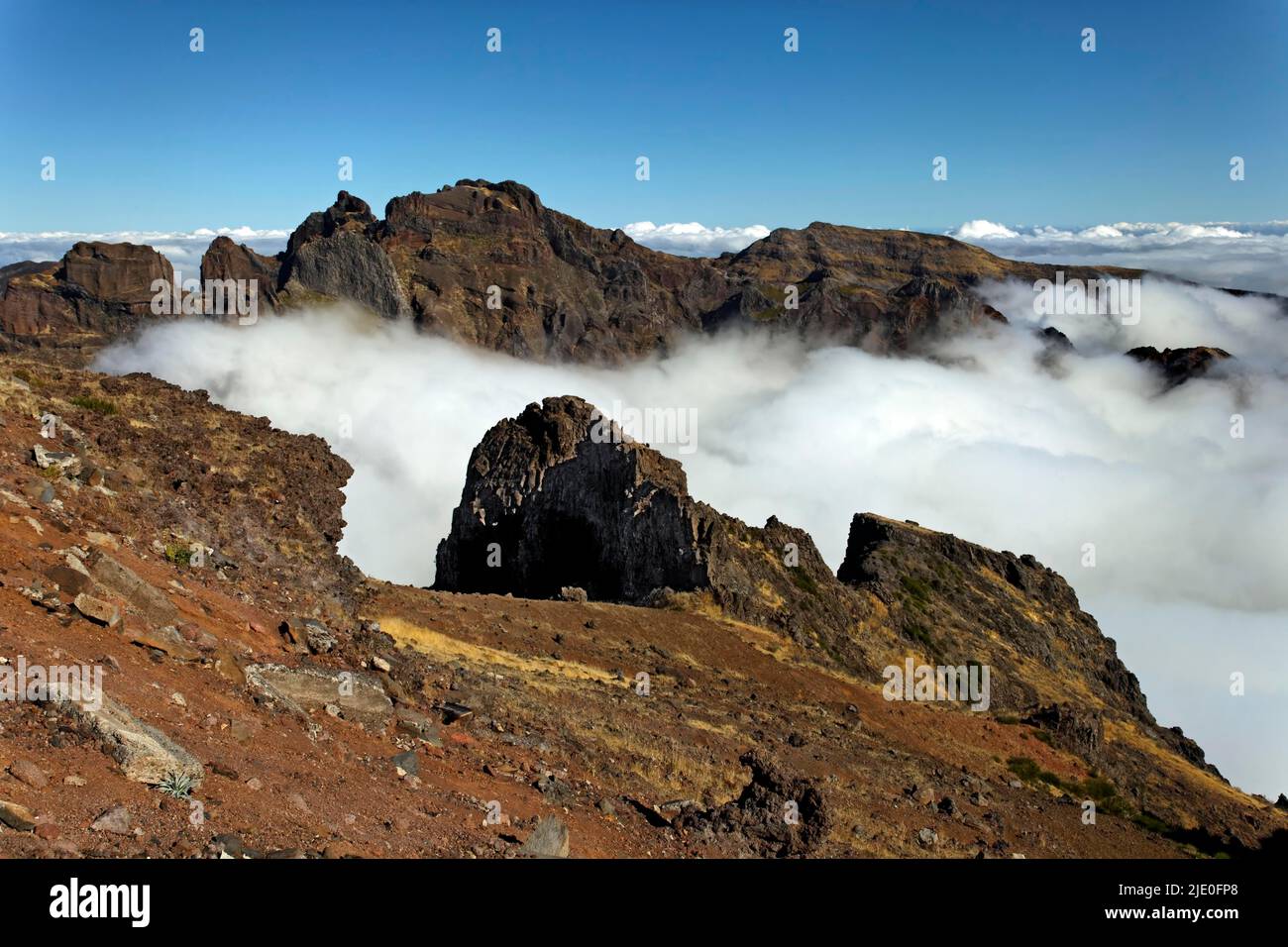 Trade wind clouds (cumulus humilis or cumulus mediocris) rise to Pico ...