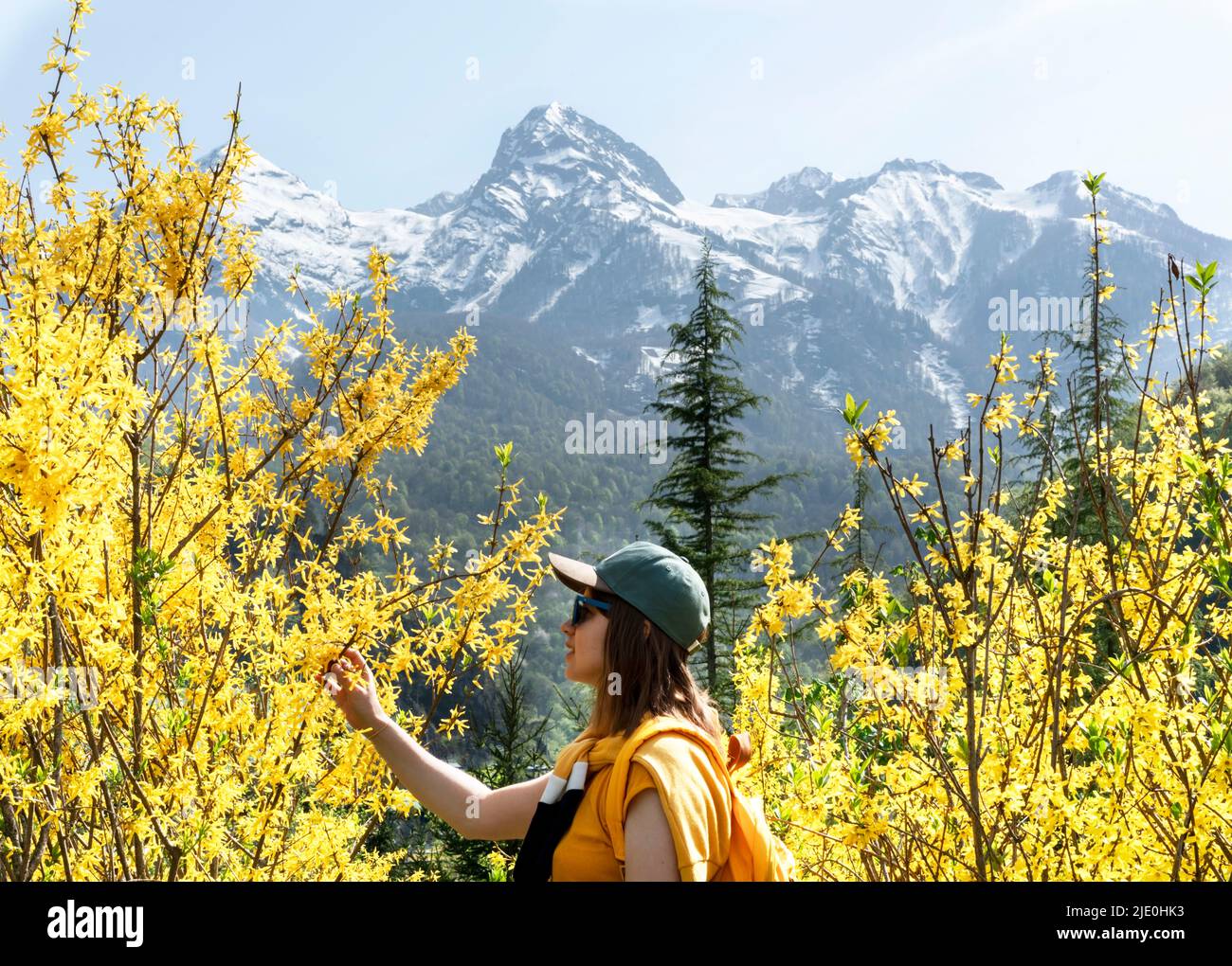 Branchhiking hi-res stock photography and images - Alamy