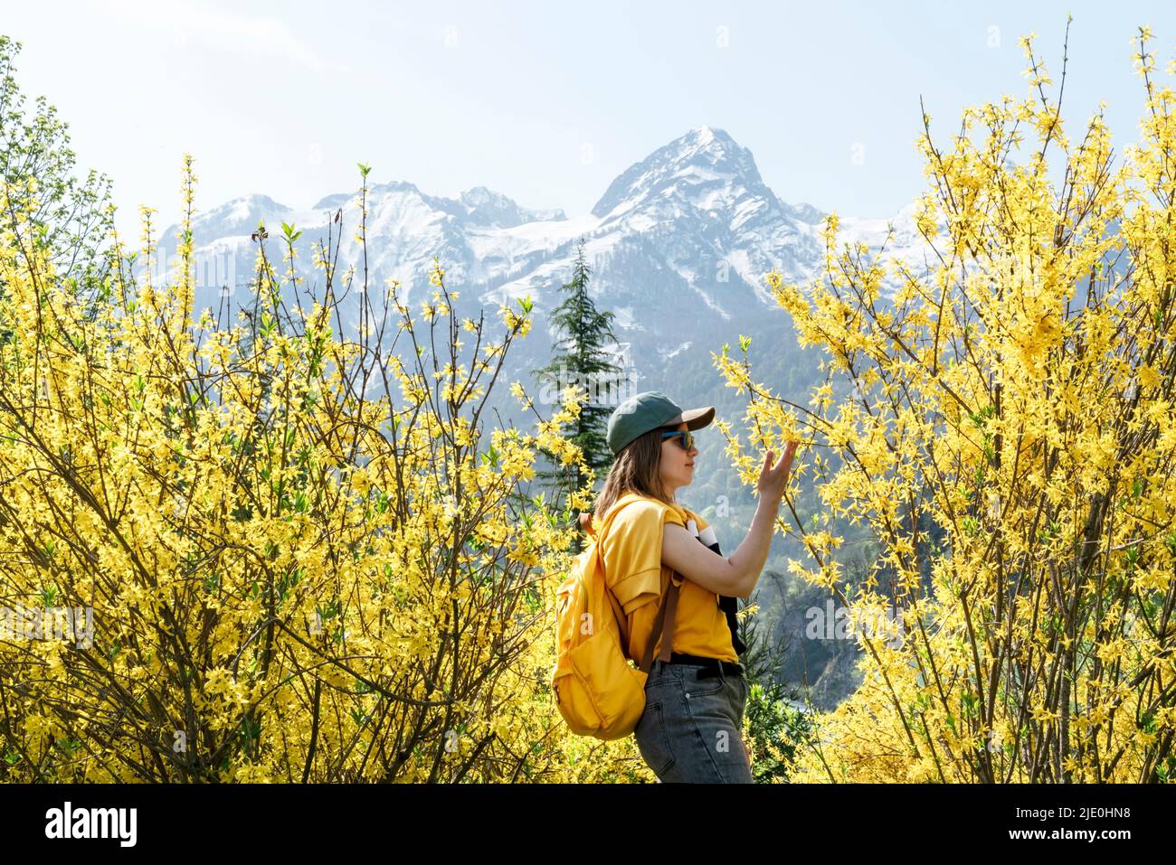 Branchhiking hi-res stock photography and images - Alamy