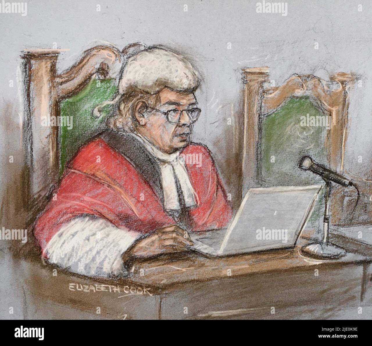 Court artist sketch by Elizabeth Cook of Mrs Justice McGowan sentencing ...