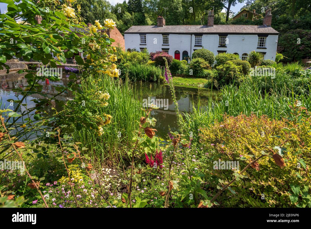 White washed cottages by the pool in the Dingle, Lymm Cheshire Stock ...