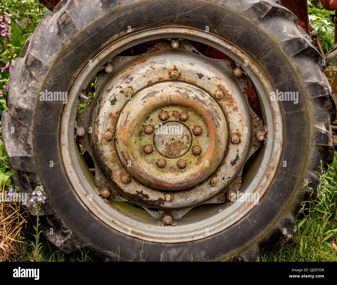 Closeup of a wheel and tyre on a vintage tractor Stock Photo - Alamy