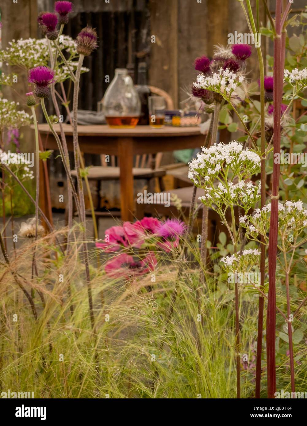 Table and shack glimpsed between naturalistic planting part of a show ...