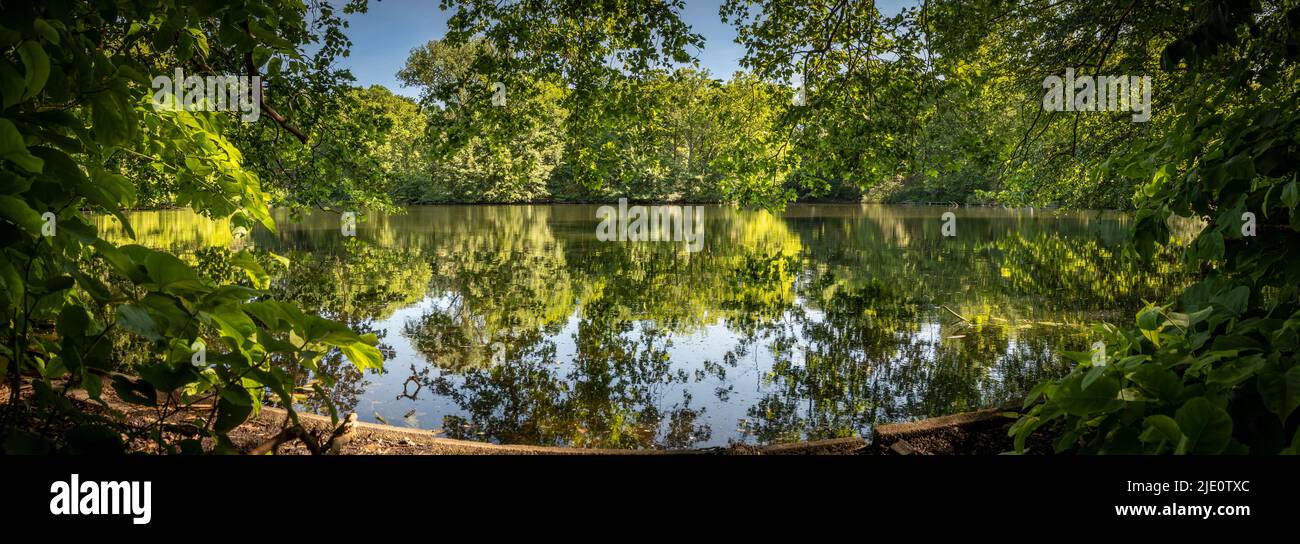 Beauty in nature at one of the lakes in the Tiergarten public park in ...