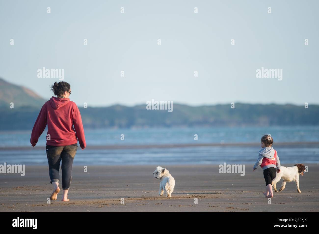 Family with dogs on the beach hi-res stock photography and images - Alamy