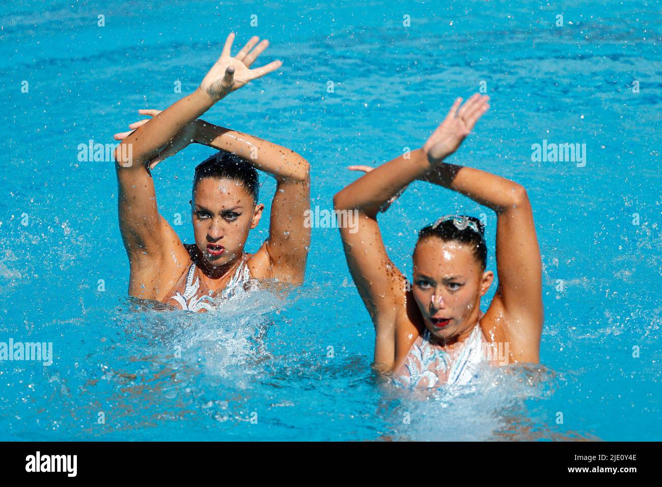Megumi field hi-res stock photography and images - Alamy