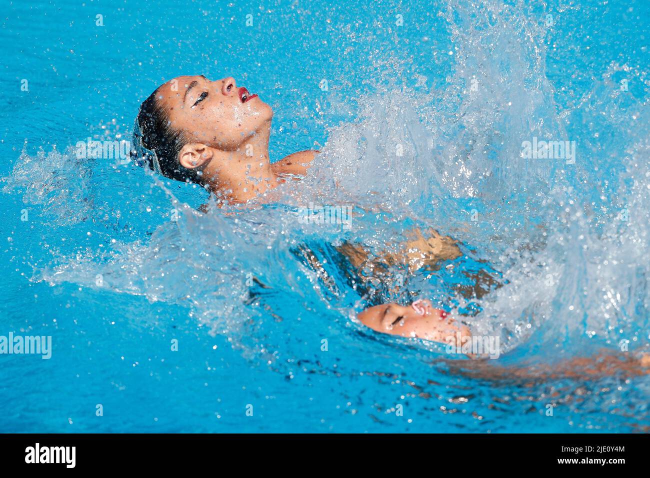 Megumi field hi-res stock photography and images - Alamy