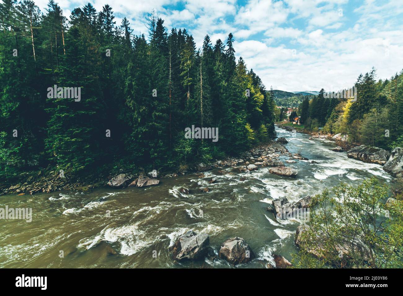 Forest stream running over rocks, a small waterfall. Sunny day, summer ...
