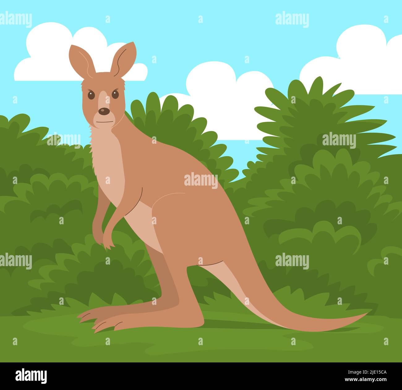 Staring animals Stock Vector Images - Alamy