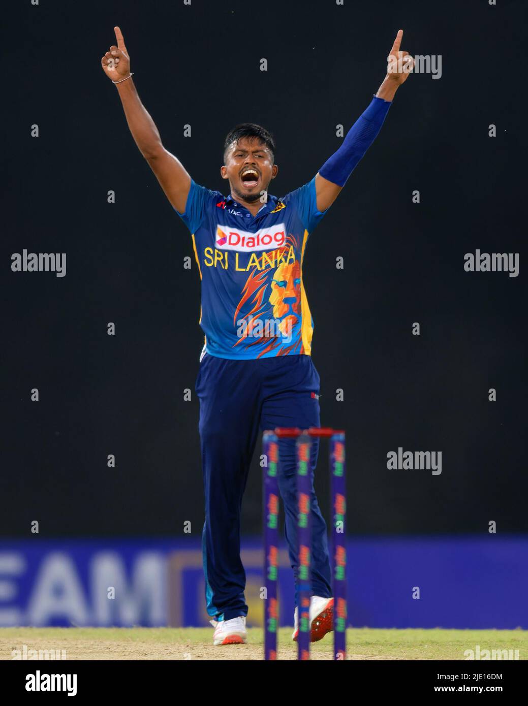 Pramod madushan liyanagamage hi-res stock photography and images - Alamy