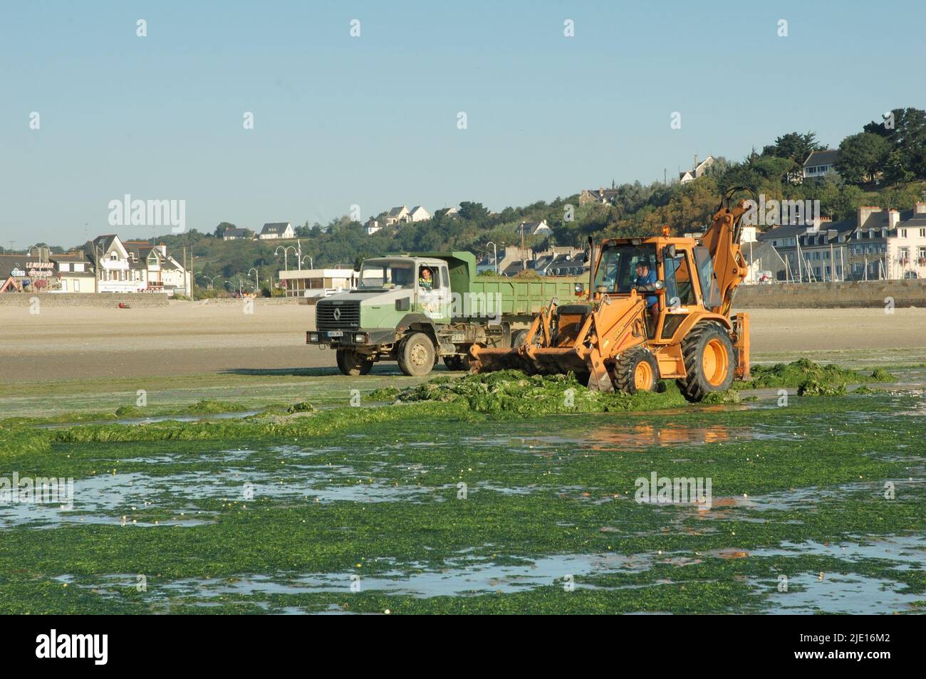 Backhoe loader cleaning green algae on Binic beach (22 Stock Photo - Alamy