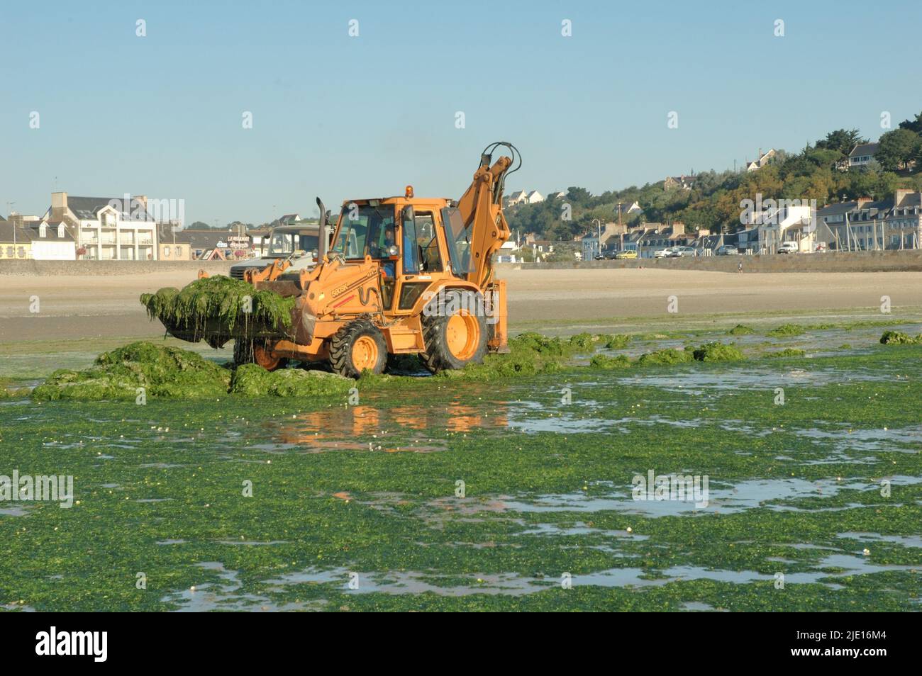 Algues vertes bretagne hi-res stock photography and images - Alamy