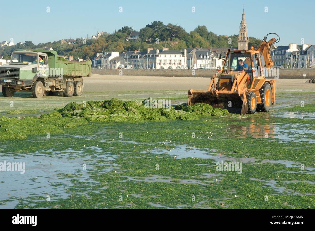 Backhoe loader cleaning green algae on Binic beach (22 Stock Photo - Alamy