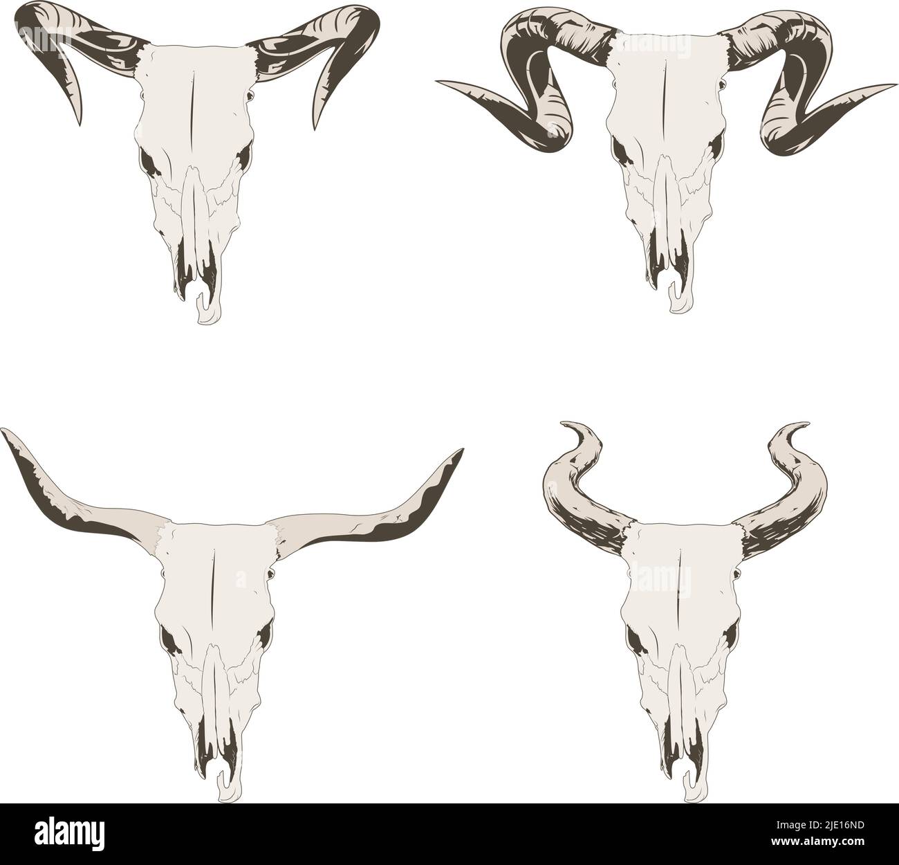 Bull culture Cut Out Stock Images & Pictures - Alamy