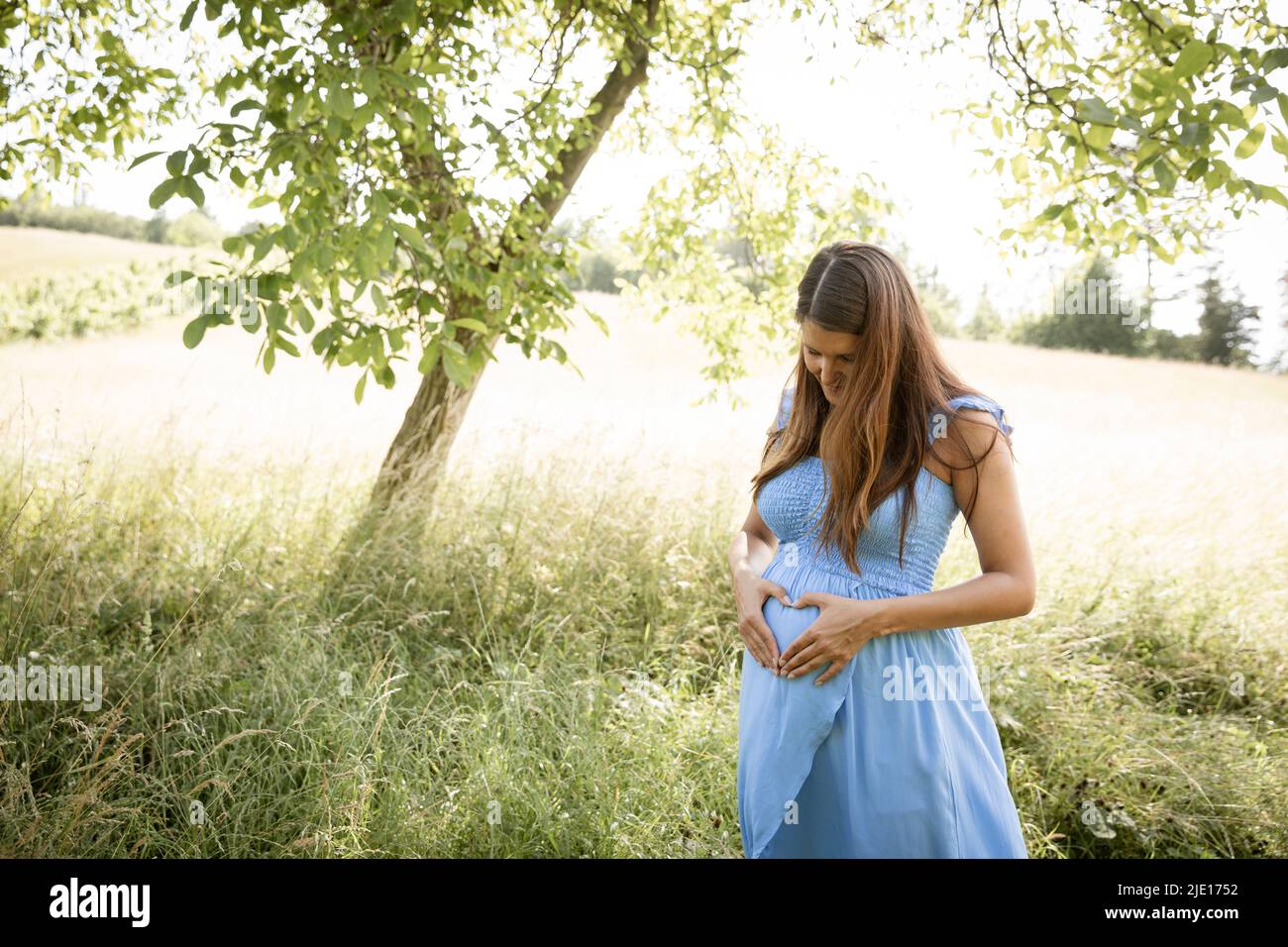 pretty young pregnant woman with black hair and blue dress stands on ...