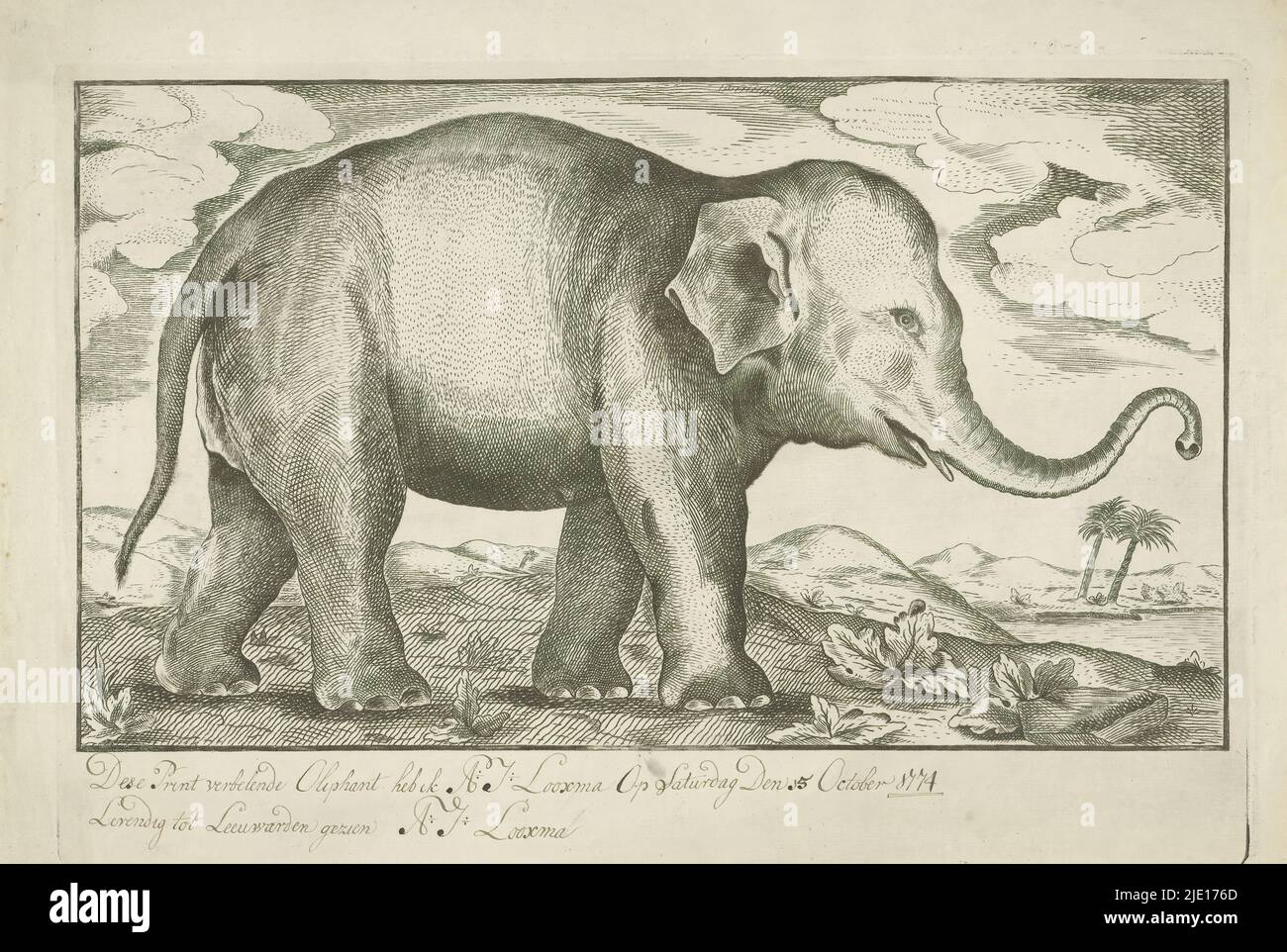 Elephant, An elephant, seen by the printmaker at Leeuwarden on October ...