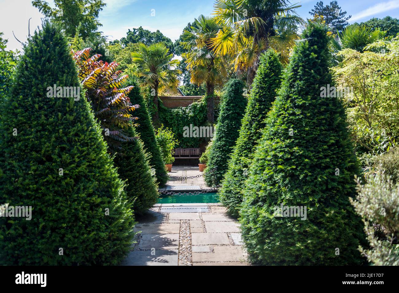 Formal garden with topiary trees, RHS Wisley Garden, Surrey, England ...