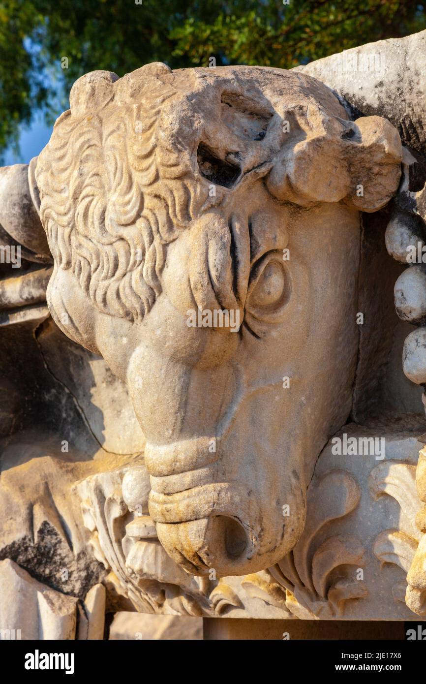 Stone Carving of Bull at Temple of Apollo, Didyma, Turkey, Asia Stock ...