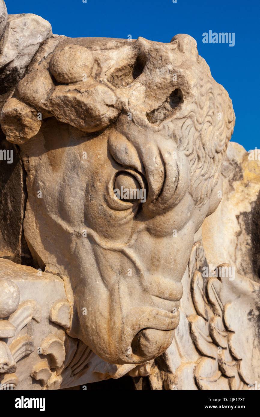 Stone Carving of Bull at Temple of Apollo, Didyma, Turkey, Asia Stock ...