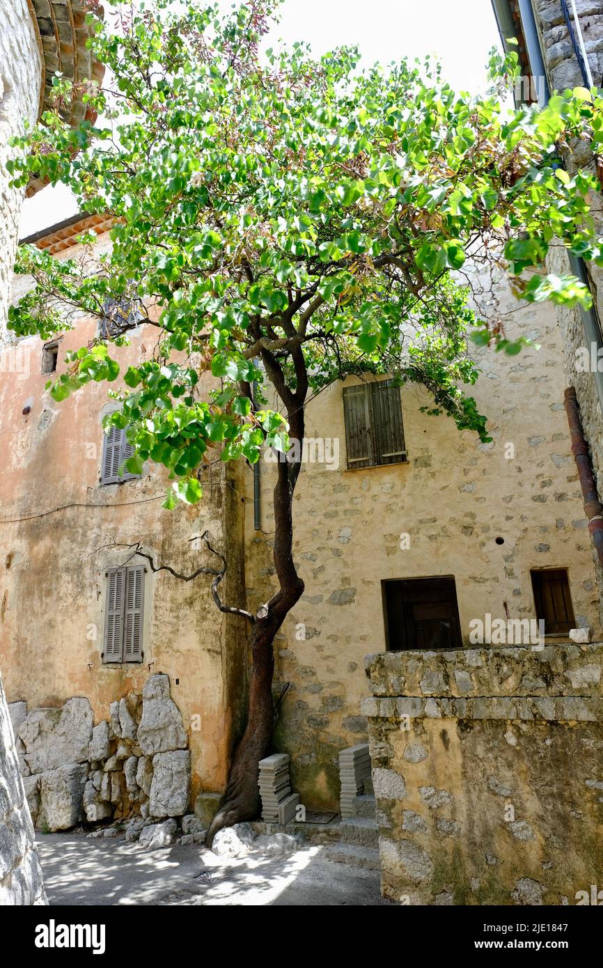 Gourdon Provence-Alpes-Cote d'Azur,an ancient fortified village, in the ...