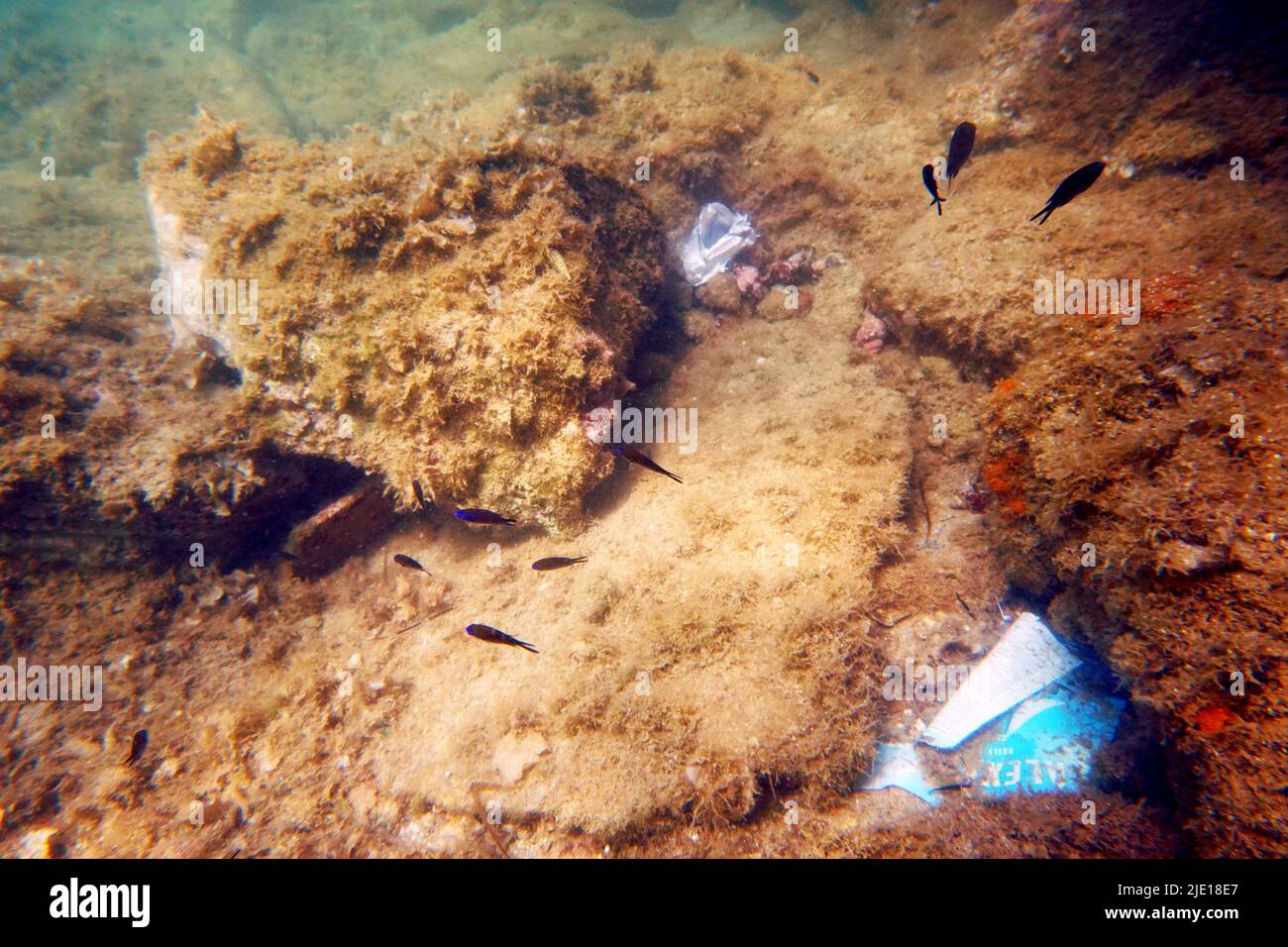 Bad underwater scenes with garbage in the Mediterranean sea Stock Photo ...