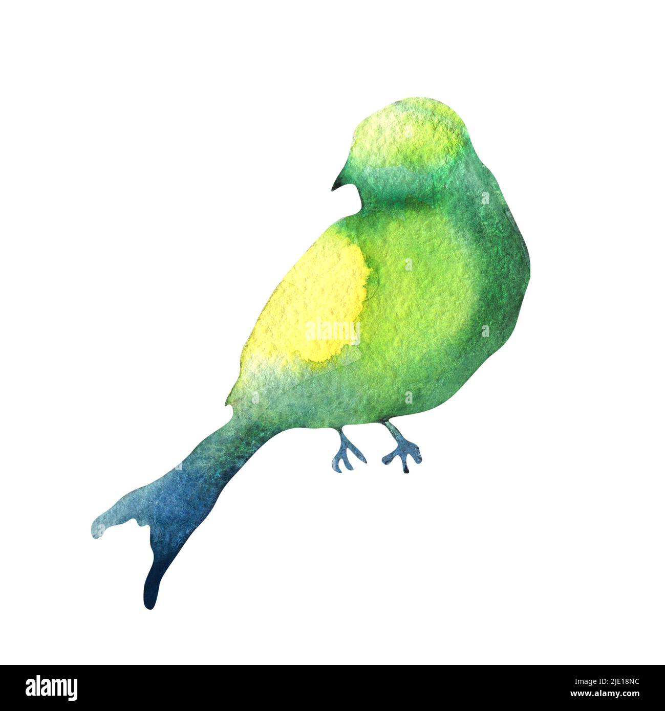 Colorful green bird silhouette watercolor illustration white background ...
