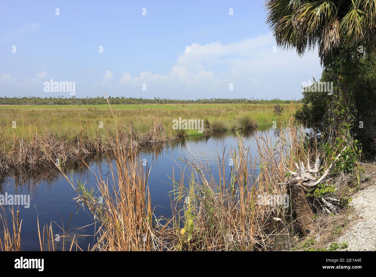 Thriving landscape hi-res stock photography and images - Alamy