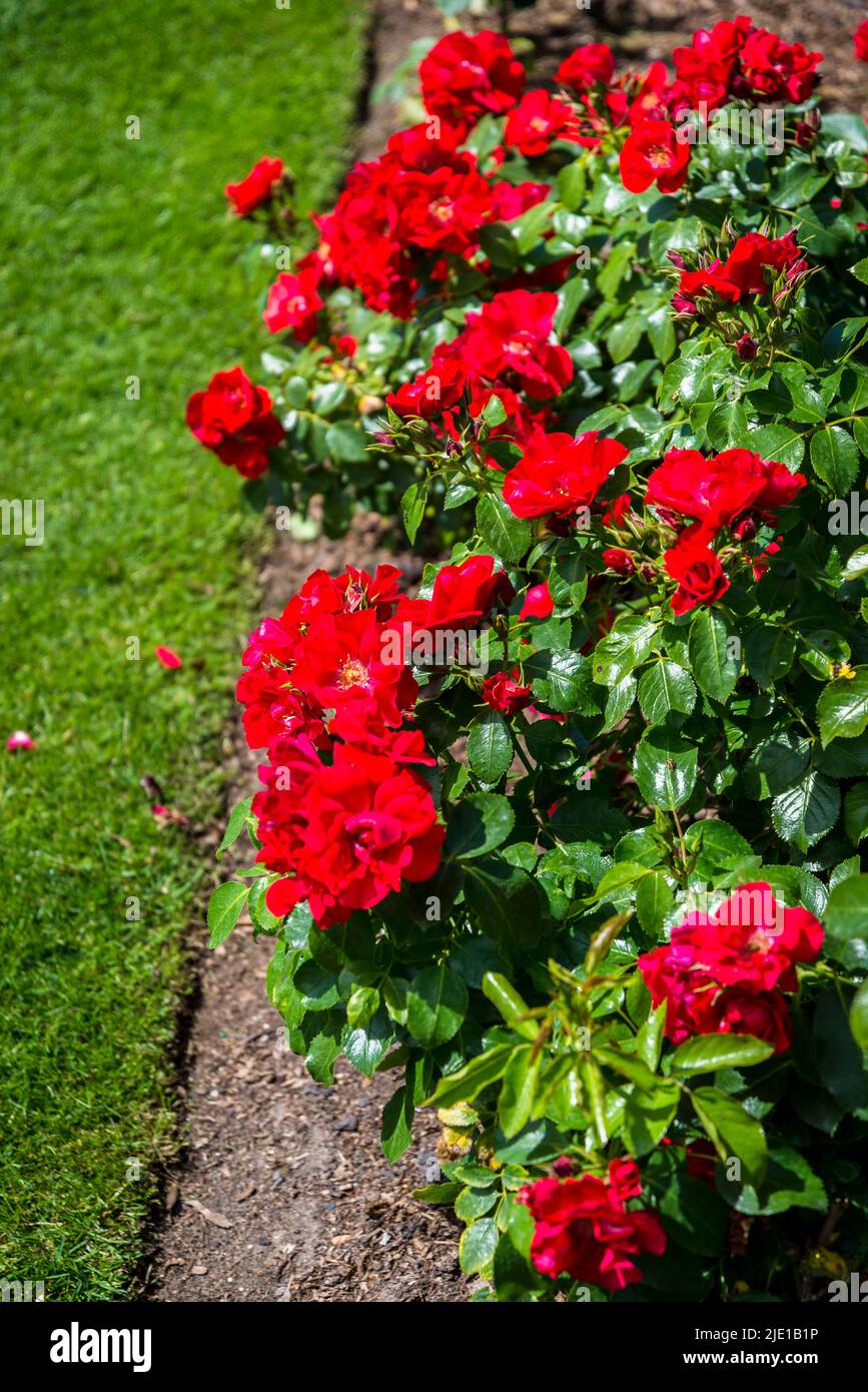 Moment in time hi-res stock photography and images - Alamy