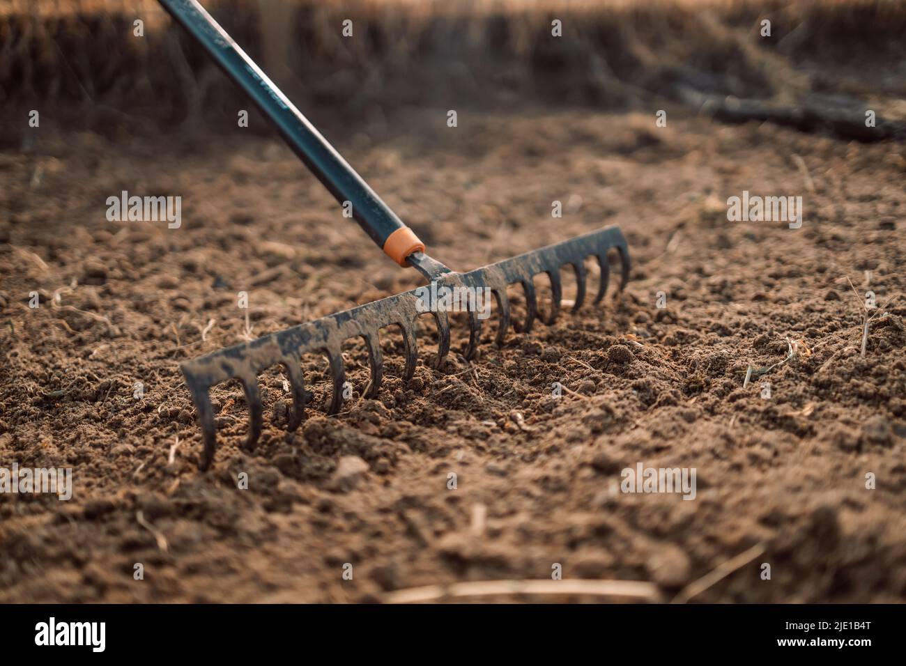 Close up of an new metal garden rake cleaning earth at spring time ...