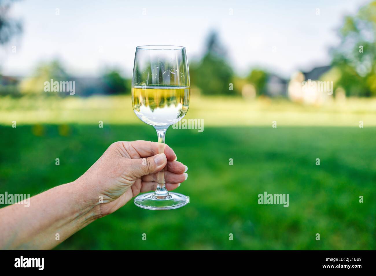 Woman hand holding and turning glass of white wine over green nature ...