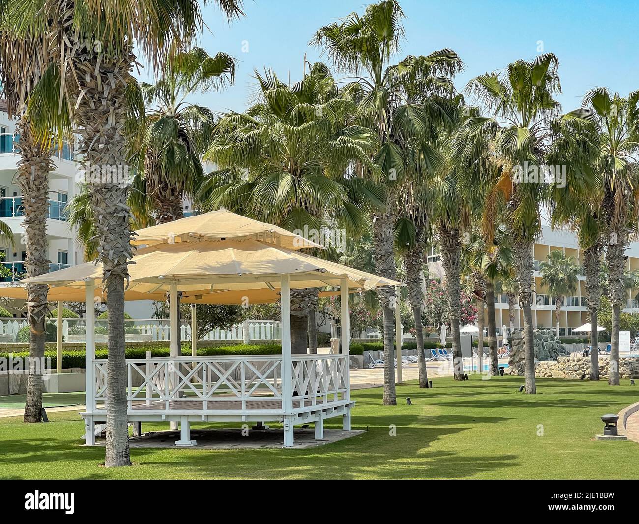 Tropical resort - summer gateaway - relaxing vacation with palm trees ...