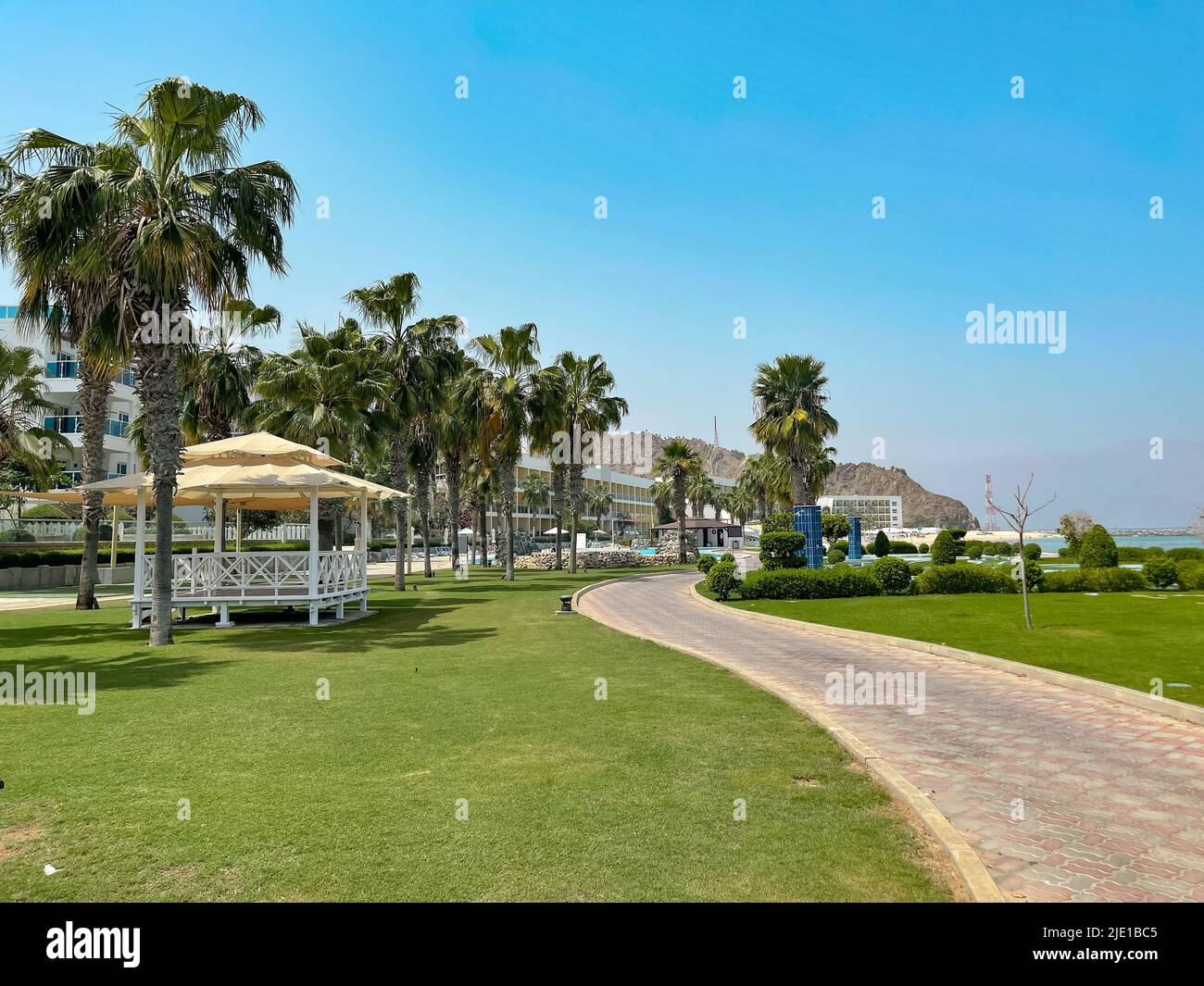 Tropical resort - summer gateaway - relaxing vacation with palm trees ...