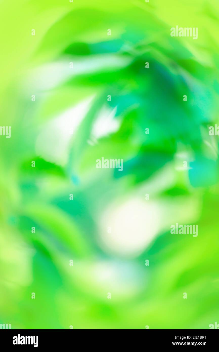 Green beautiful nature green eco background for your design. Abstract ...