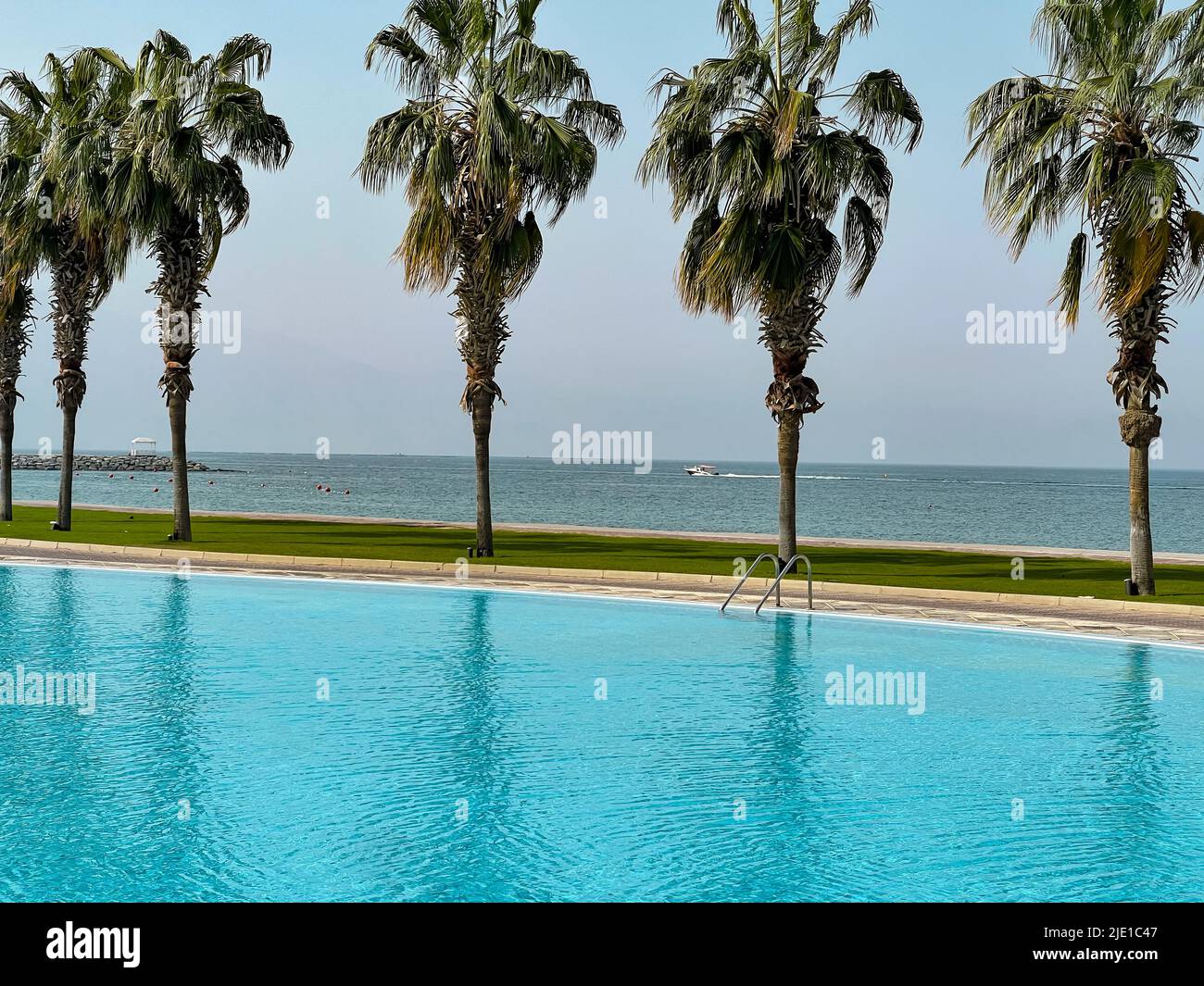 Tropical resort - summer gateaway - relaxing vacation with palm trees ...