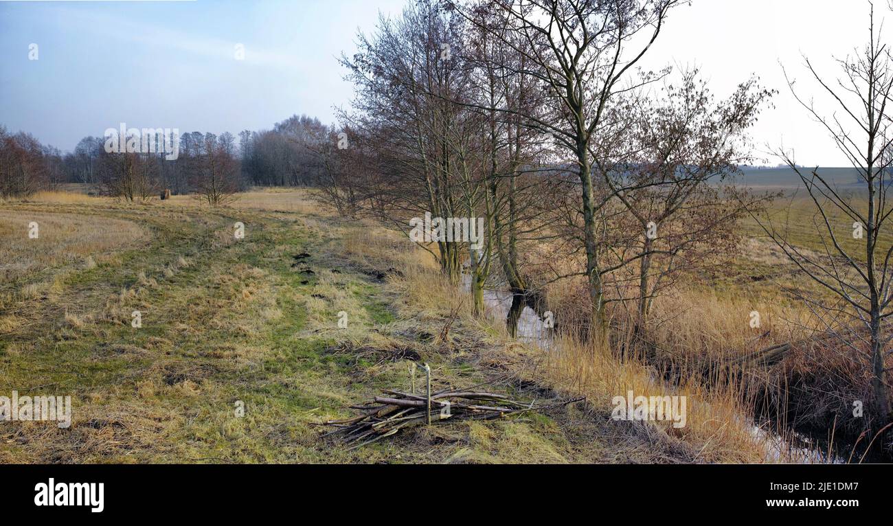 Wet farmland in early spring in Jutland, Denmark, with blue sky ...