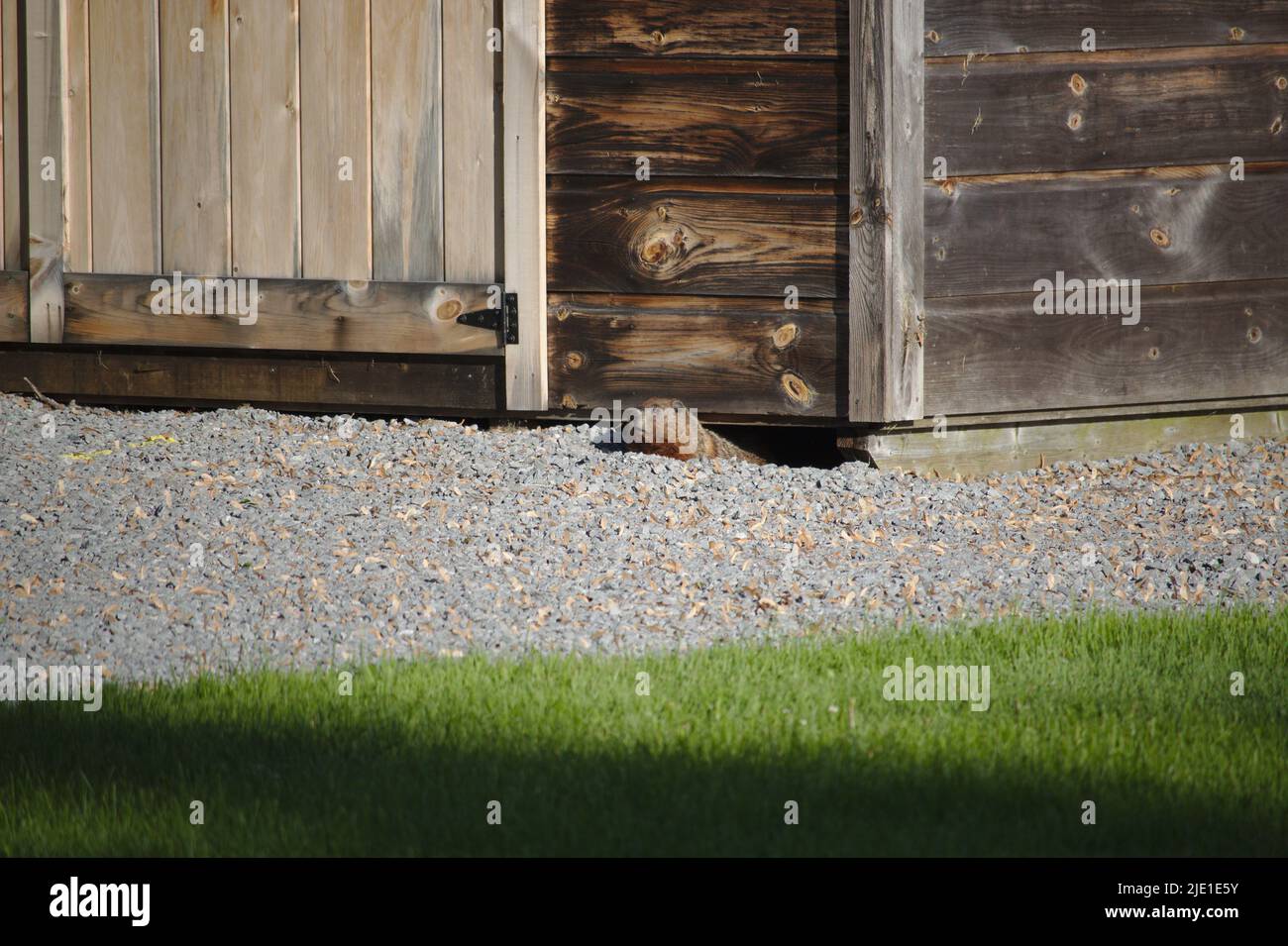 Gracel hi-res stock photography and images - Alamy