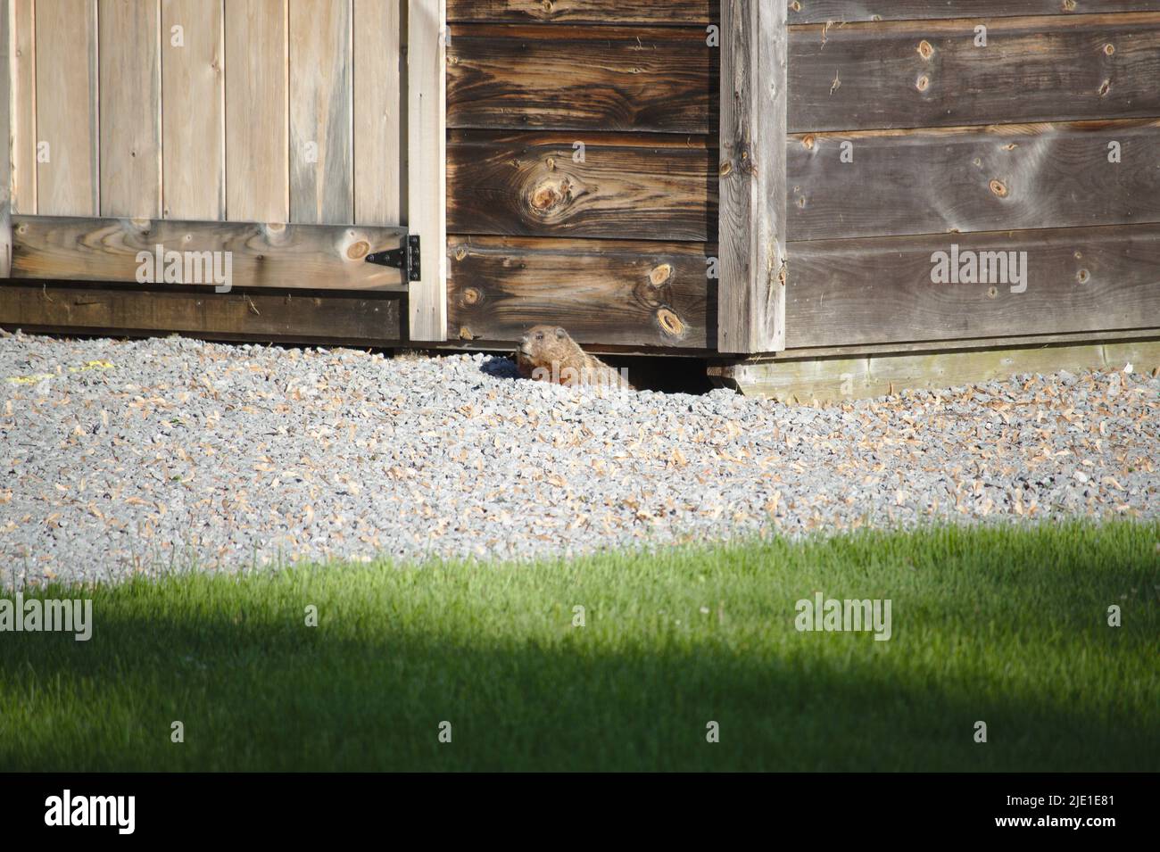 Gracel hi-res stock photography and images - Alamy