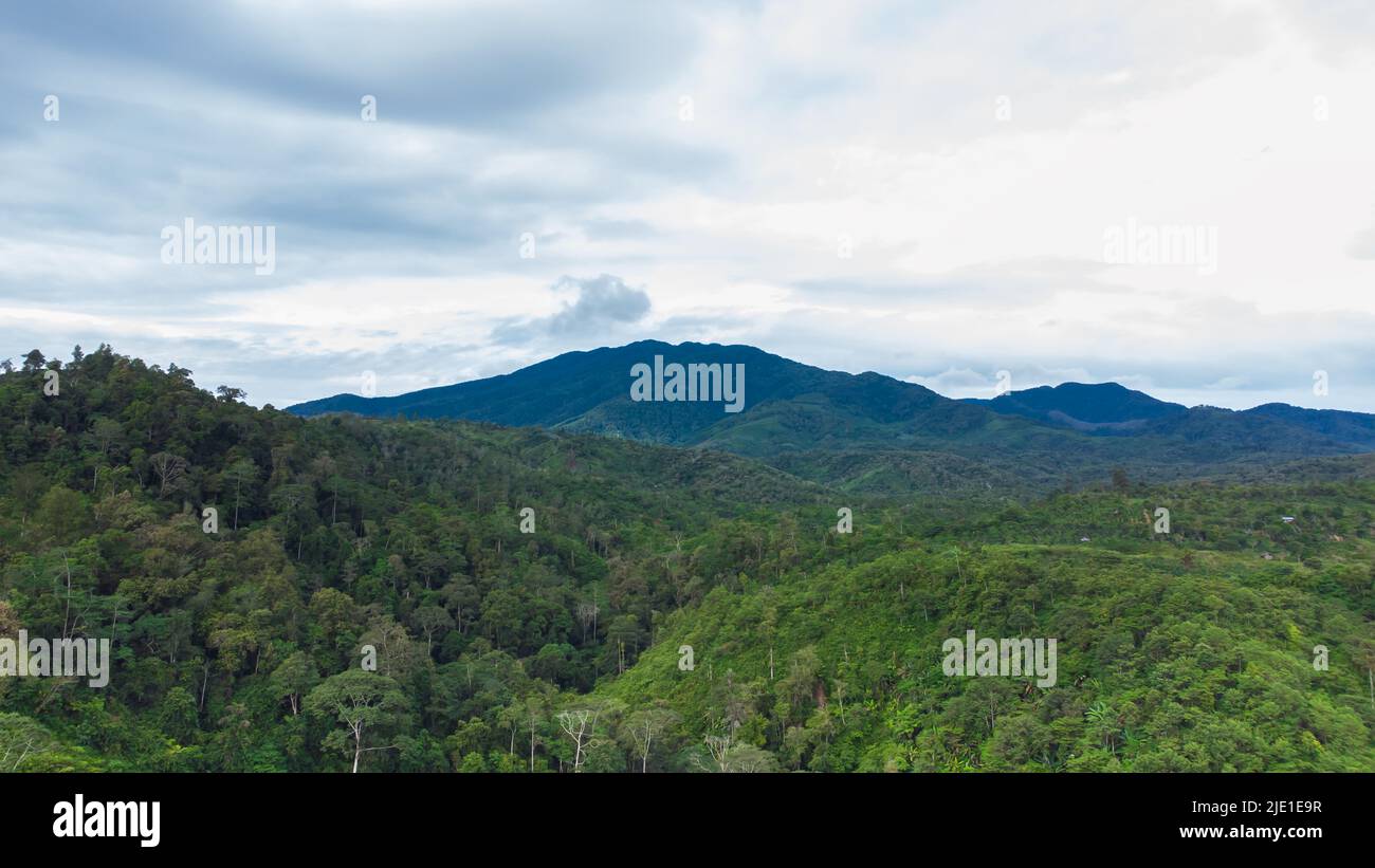 An aerial photo of a hill with green and shady trees, in the province ...