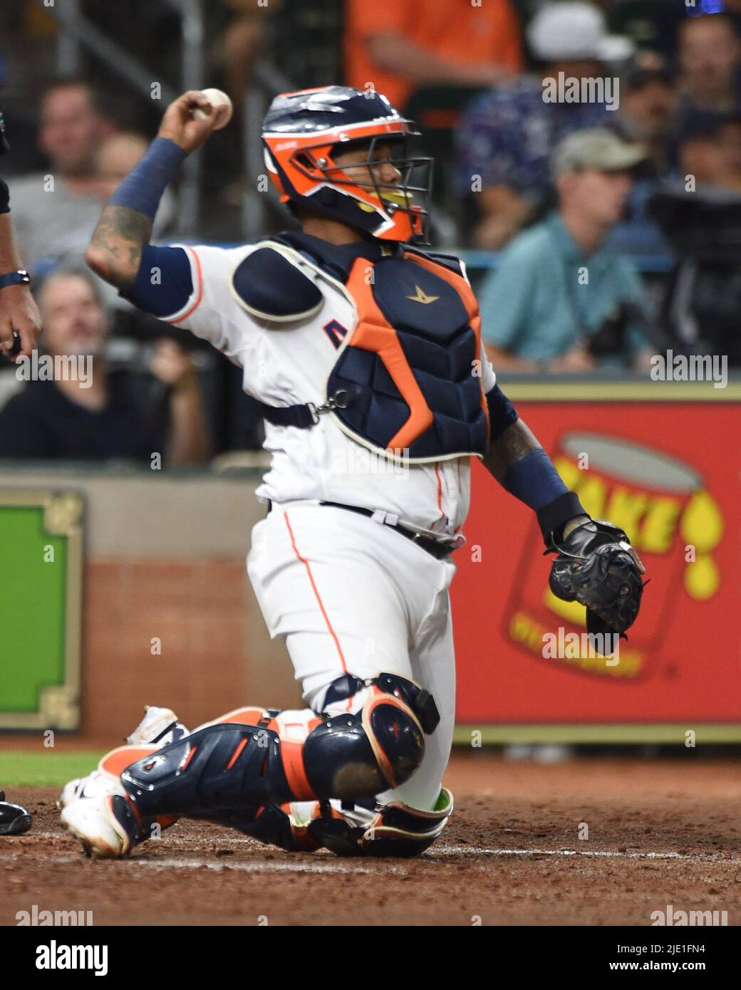 Houston Astros catcher Martin Maldonado (15) in the top of the fourth ...
