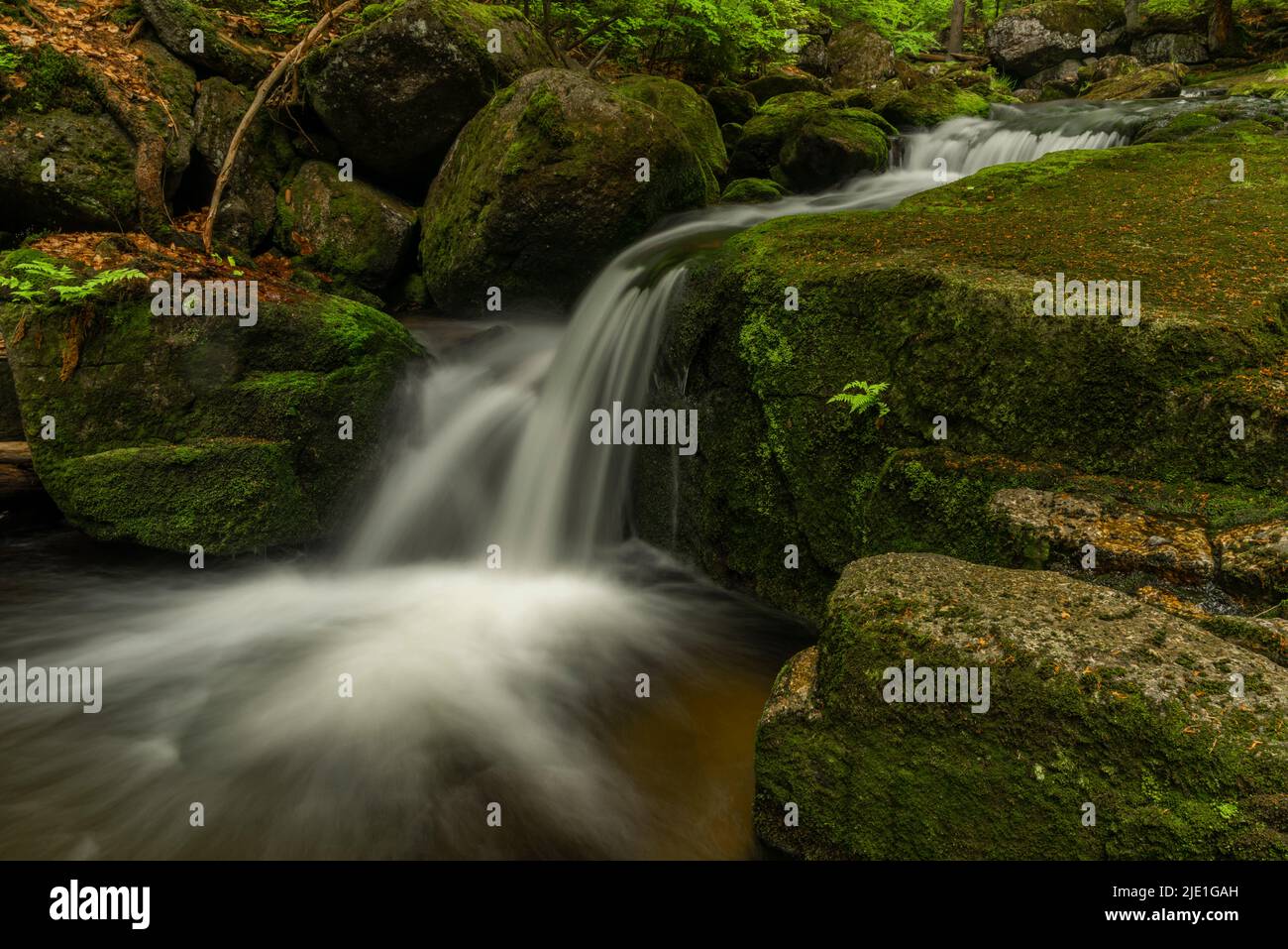 Jedlova creek in Jizerske mountains in spring cloudy morning Stock ...