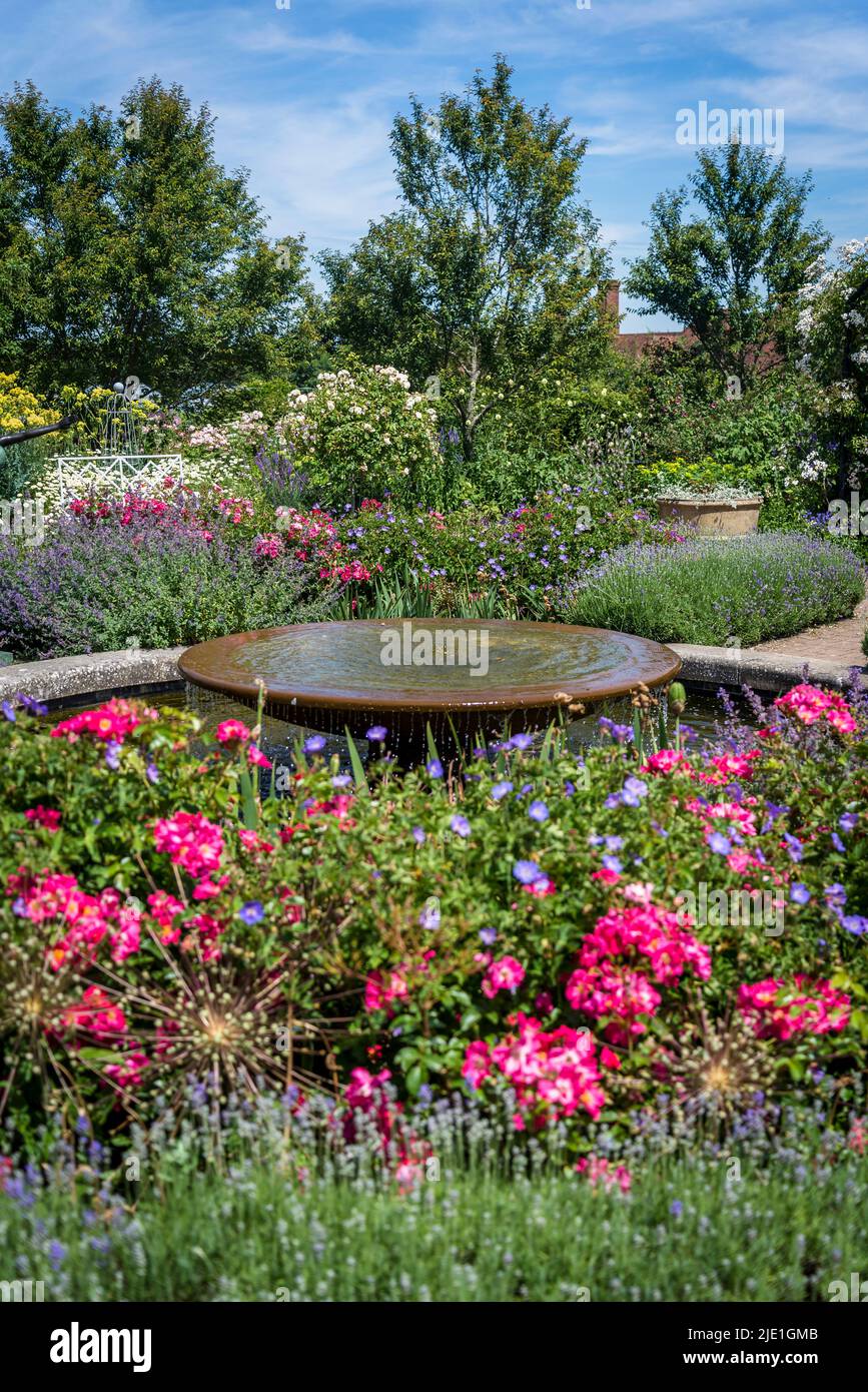 Water fountain in Cottage Garden in June, RHS Wisley Gardens, Surrey ...